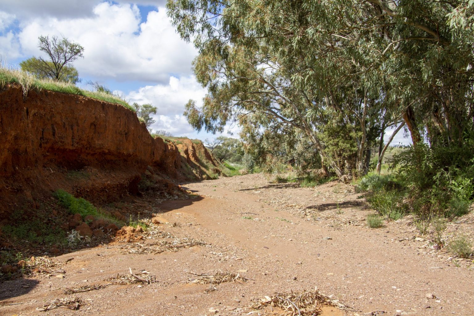 EXPLORE - Welcome to Carrieton