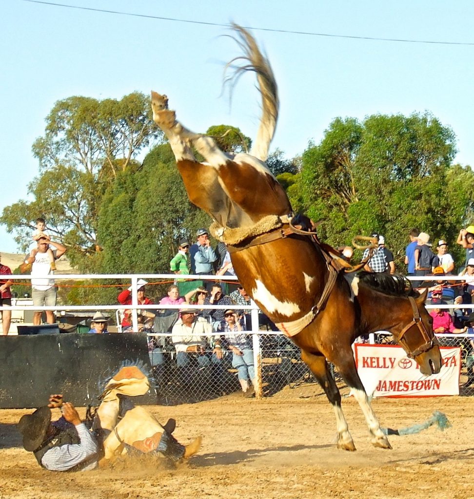 EVENTS - Welcome to Carrieton