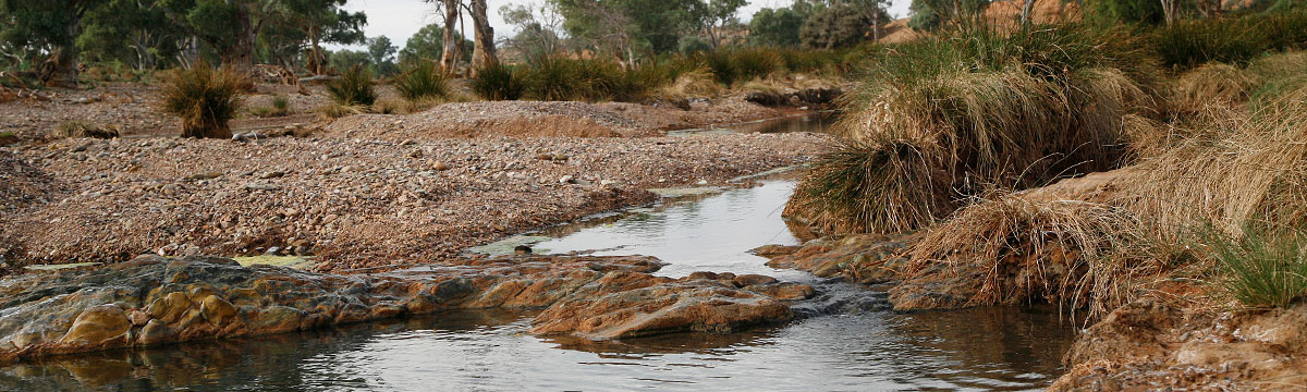 Contact - Carrieton SA